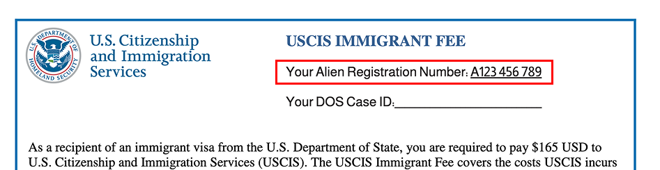 How to Find Your Alien Registration Number, Explained