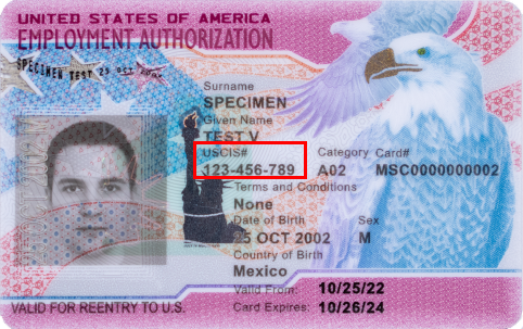 How to Find Your Alien Registration Number, Explained