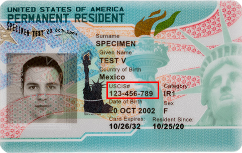 How to Find Your Alien Registration Number, Explained